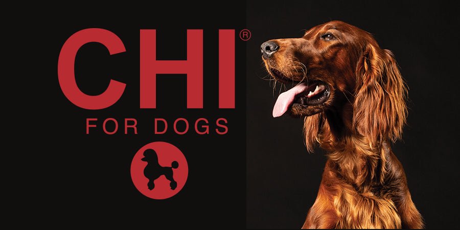 CHI FOR DOGS – Pet Brands